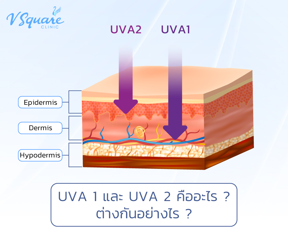 UVA 1 และ UVA 2 ต่างกันอย่างไร รังสีไหนอันตรายกับผิวที่สุด